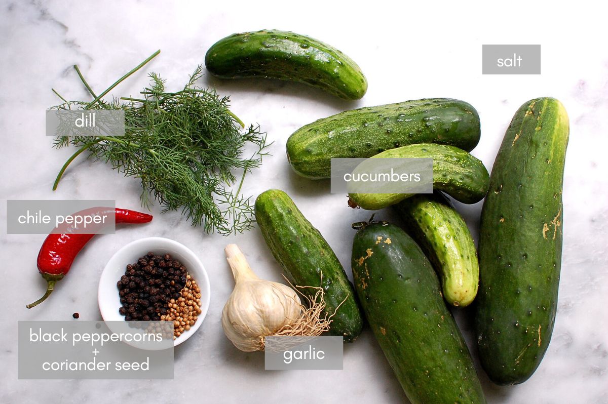 Refrigerator Dill Pickles Recipe | Quick & Crisp Cucumber Pickles